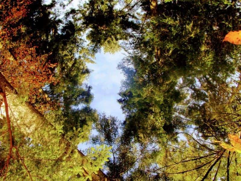 10 Autumn Things To Do in the Black Forest - merry-go-round. slowly